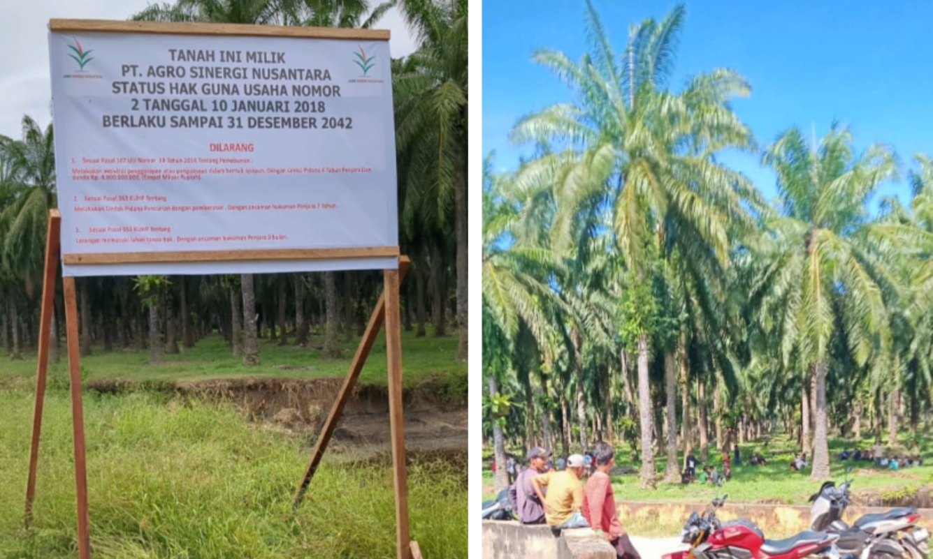 Konflik Berlanjut, PT ASN Berikan Klarifikasi - Daerah - THE JURNAL ...